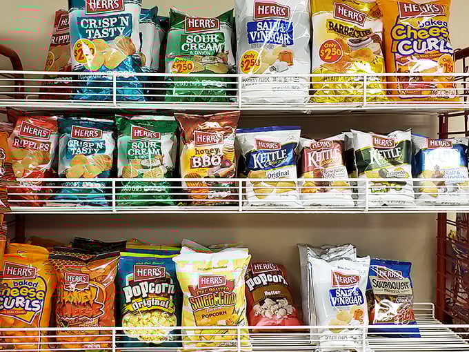 Even the chip selection shows thoughtful curation. Because after dairy perfection, sometimes you need a salty counterpoint to reset your taste buds.
