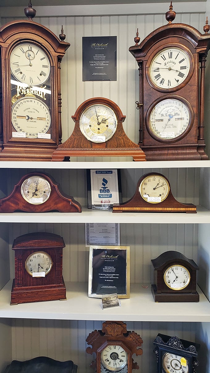 A collection of antique timepieces that have marked the hours for generations, each with its own distinctive voice from the past.