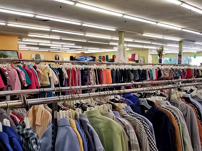 The electronics section: where vintage stereo components and modern tech coexist like a museum of the recent past.