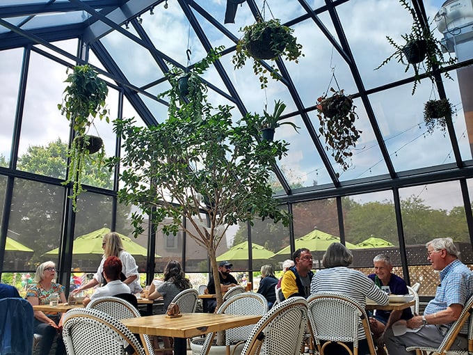 The greenhouse dining area bathes guests in natural light, making it the perfect spot to contemplate life's big questions, like "Should I order dessert?"