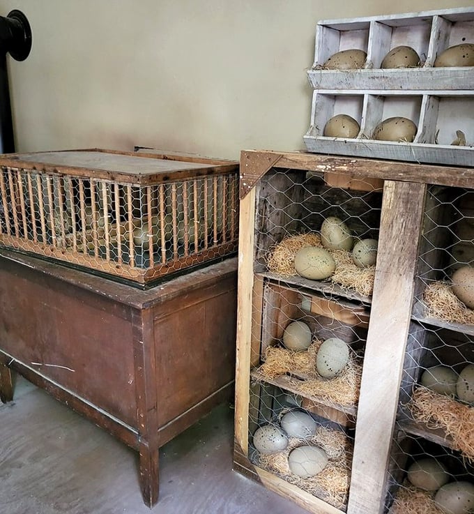Dinosaur eggs carefully preserved in rustic incubators – the starting point of the Union Army's ill-fated prehistoric weapon program.
