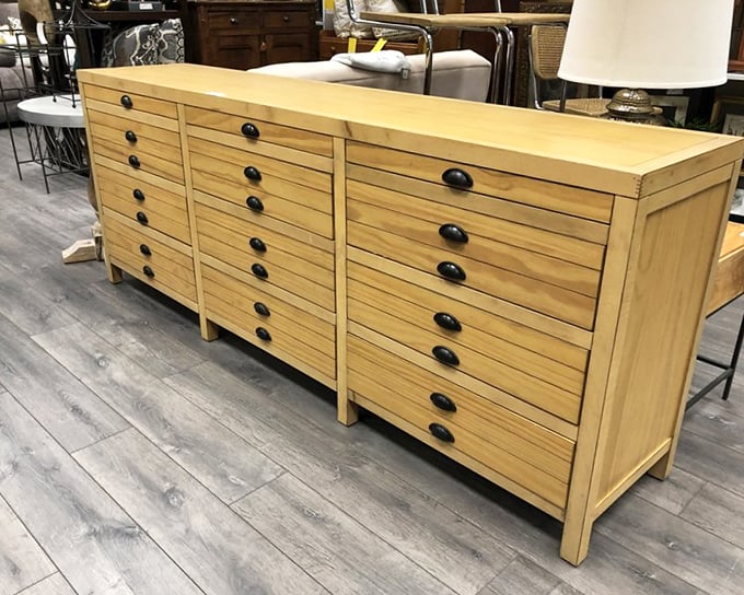 Not just a drawer unit—it's organizational nirvana for artists, collectors, or anyone who appreciates beautiful craftsmanship and endless tiny compartments.
