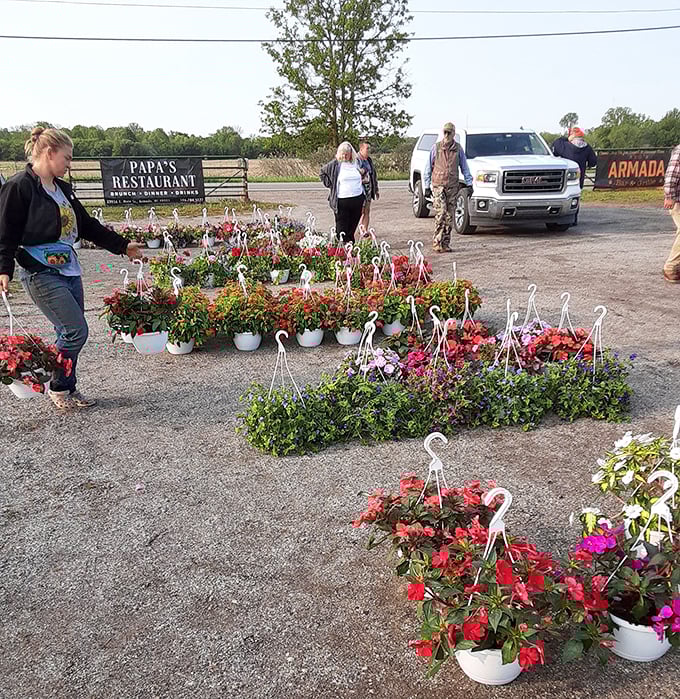 Nature's palette meets entrepreneurial spirit as hanging baskets transform a parking lot corner into an impromptu garden center.