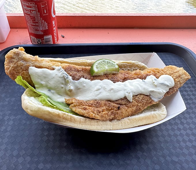 That's not just a fish sandwich—it's Florida on a bun. The tartar sauce-to-fish ratio is what mathematicians call "the golden mean."
