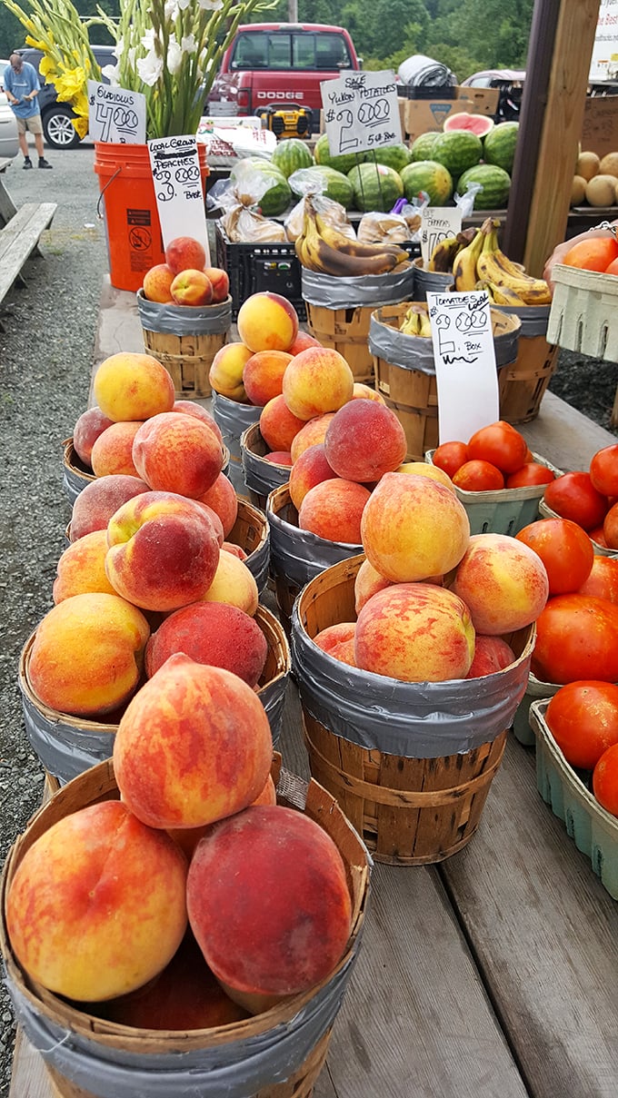Nature's candy display! These sun-kissed Pennsylvania peaches put supermarket produce to shame—farm-fresh flavor that's worth the trip alone.
