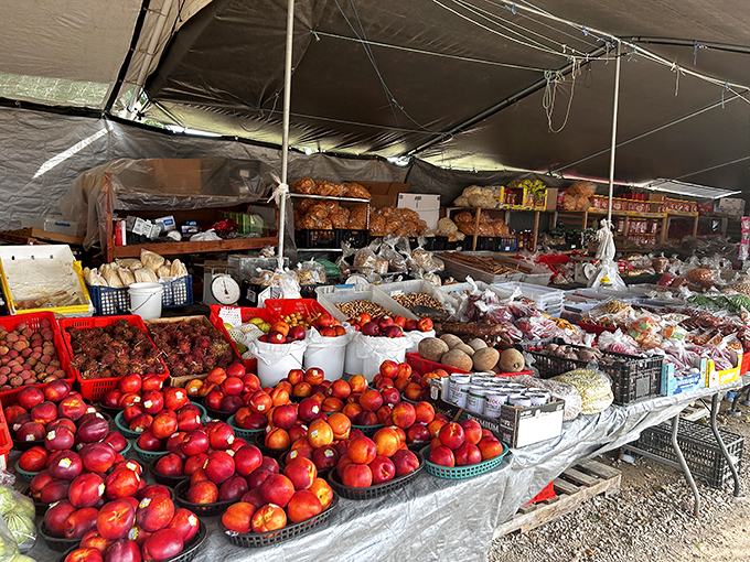 Fresh produce stands proud – farm-fresh goods that actually remember what sunshine feels like.