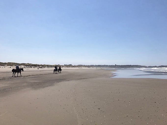 Horse people have it figured out—why walk the beach when you can clip-clop along the shoreline like coastal royalty?