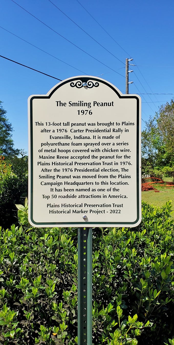 The historical marker reveals this isn't just any random peanut – it's a presidential peanut with a political past and cultural significance.