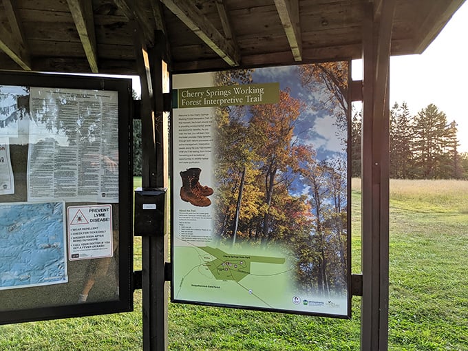 Nature's classroom doesn't require PowerPoint – just informative trail guides that help you appreciate the forest beyond the trees.