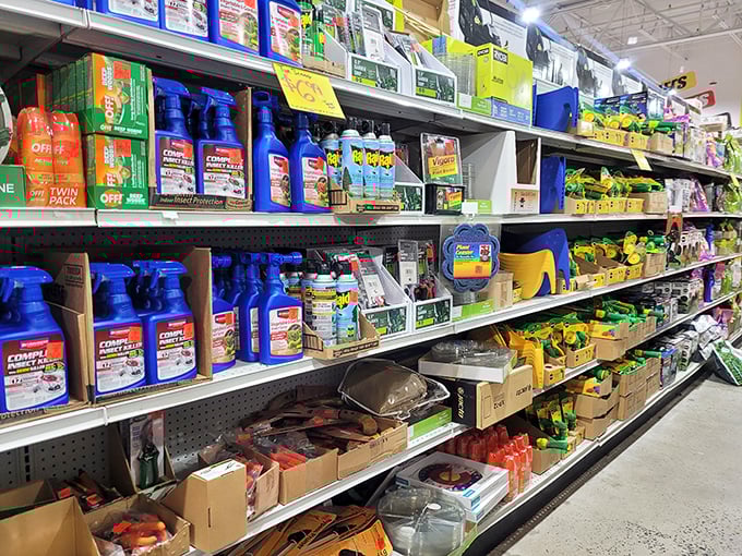 The garden section offers everything from weed killers to watering cans. Suburban warriors, your weekend projects just found their affordable supply headquarters.