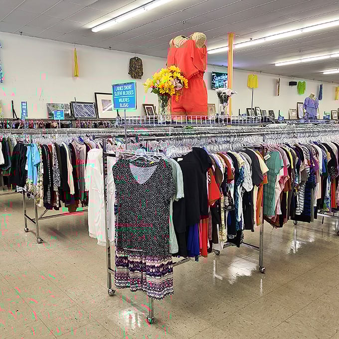 Ladies' fashion paradise unfolds in organized rows, where designer dreams meet budget-friendly reality in perfect harmony.
