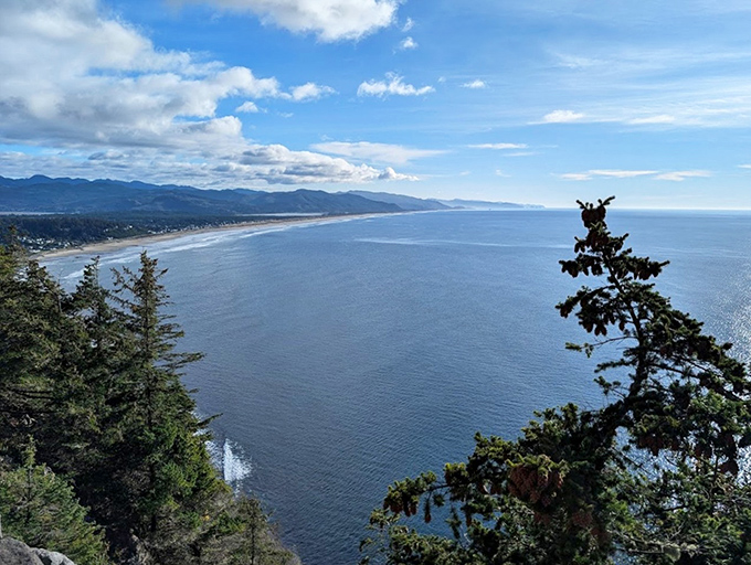 The view that launched a thousand postcards: Neahkahnie Mountain offers panoramic vistas that make smartphone cameras weep with inadequacy.