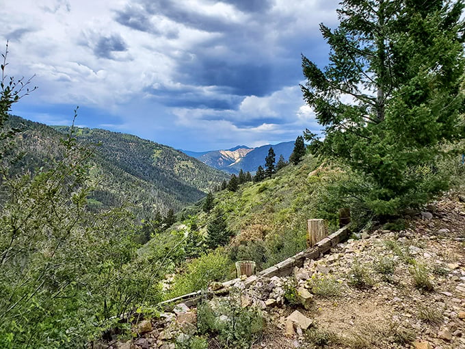 The kind of panorama that makes smartphone cameras weep with inadequacy. Some views simply demand to be experienced in person.