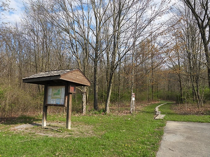 Nature trails invite exploration without requiring expensive gear or admission fees—just bring curiosity and comfortable shoes to discover Bucyrus's quieter side.