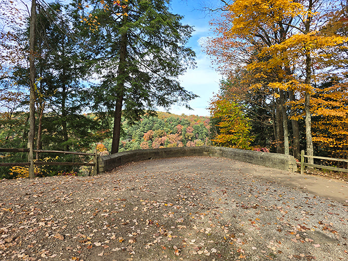 This view proves you don’t need Wi-Fi when the horizon keeps uploading beauty for free.