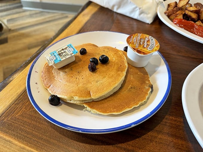 Pancakes that look like they're auditioning for a breakfast commercial. Those blueberries aren't just toppings—they're jewels.