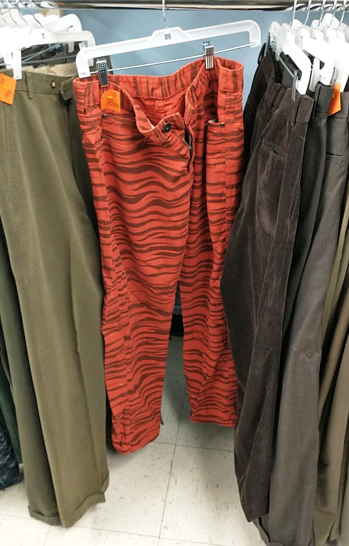 Those tiger-striped pants aren't just clothing—they're courage in fabric form, waiting for someone with the confidence to rock them.
