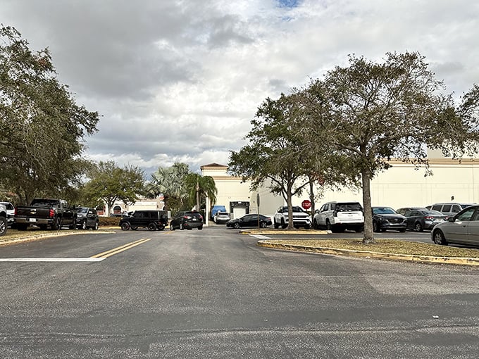 The parking lot – where shopping adventures begin and end. Your car will wait patiently while you do anything but.