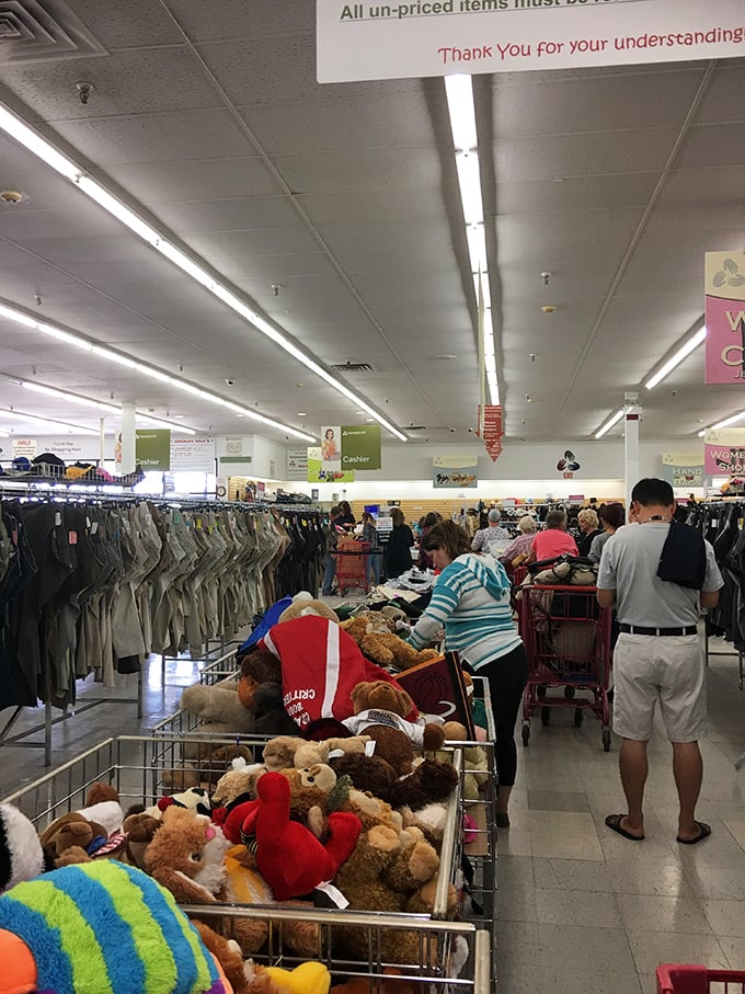 Stuffed animals overflow from bins like a carnival prize booth gone wonderfully wild.