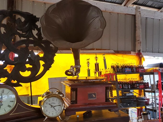 That vintage phonograph isn't just an antique—it's a time machine that plays the soundtrack of someone's cherished memories.