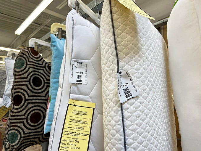 The pillow section: where $14.99 buys you either a good night's sleep or a questionable design choice for your living room. 