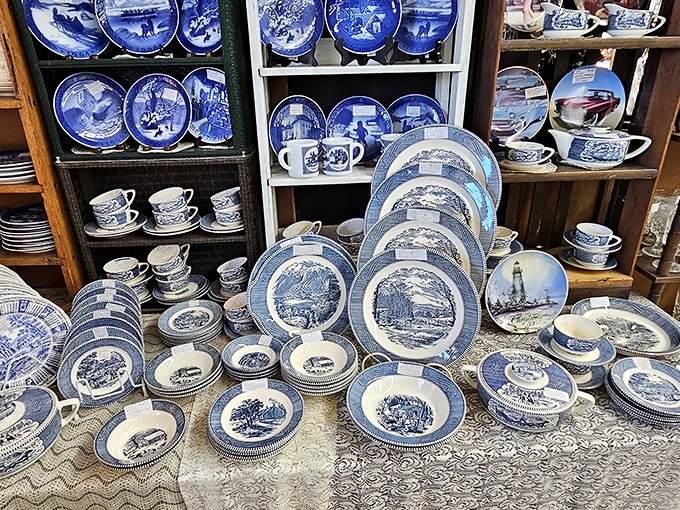 Blue and white china heaven! These aren't just plates—they're conversation pieces waiting to host your next dinner party's best stories.