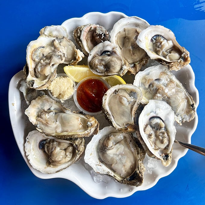 Oysters so fresh they're practically still gossiping about ocean drama. Served simply with lemon and cocktail sauce—nature's perfect appetizer.