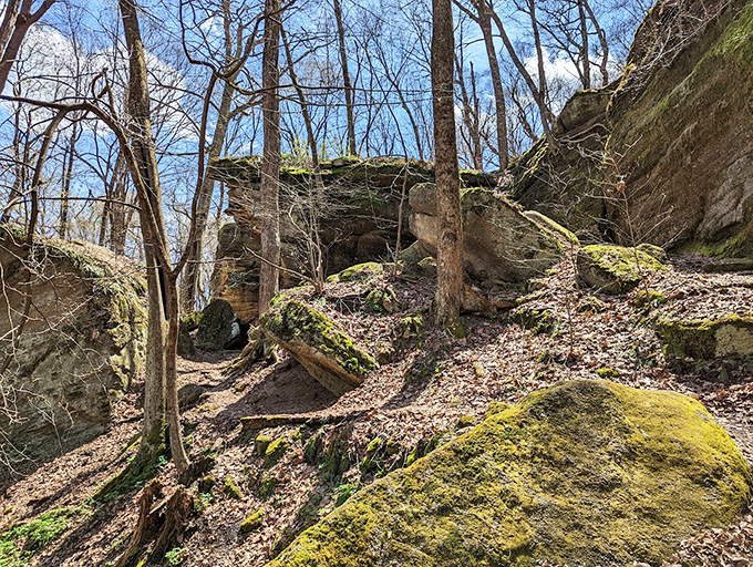 The perfect spot for contemplating life's big questions or just enjoying a sandwich with an extraordinary view. Either way, you win.