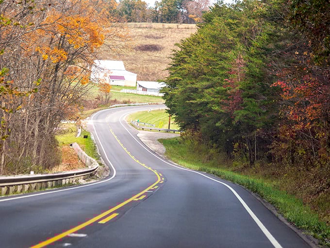 The road dips and rises through farmland vistas, connecting forest to field. Here, rural Ohio reveals its quiet, unassuming beauty.