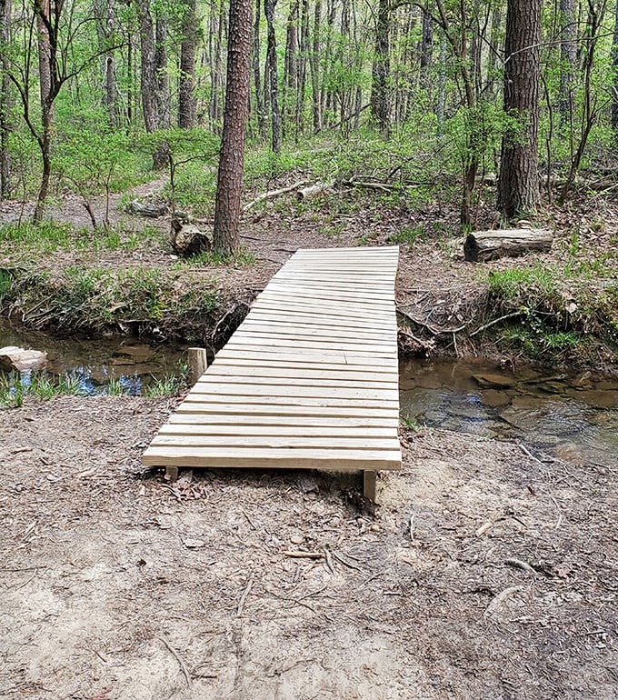 This charming bridge connects more than paths—it links you to Georgia's most spectacular hidden treasure.