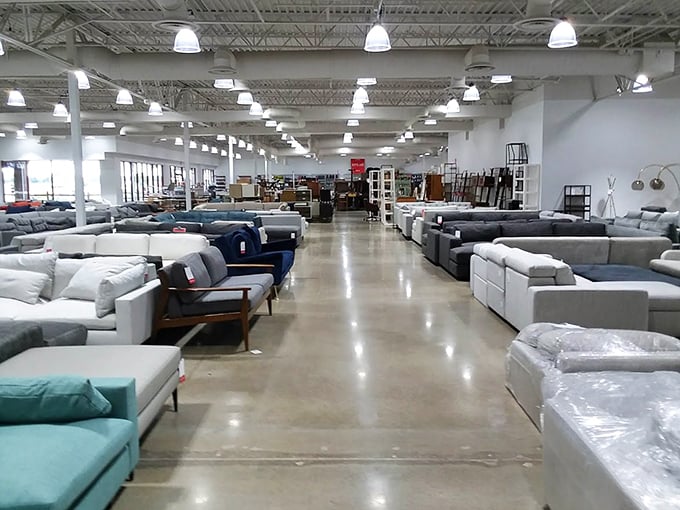 Furniture shopping becomes an expedition through comfort island. That teal sofa is practically begging for a Netflix marathon.