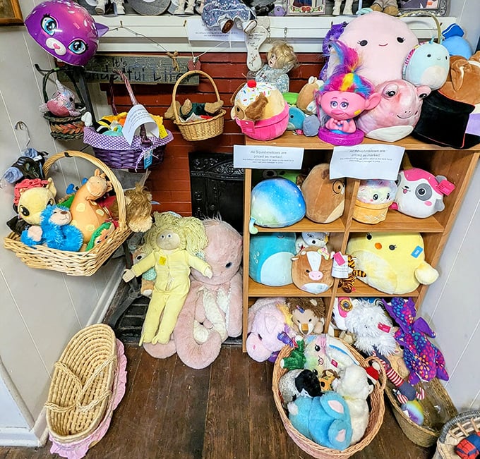 A plush menagerie awaits new homes and hugs. These stuffed animals have stories to tell and comfort to give—all at bargain prices.