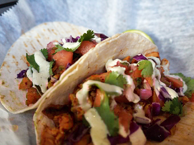Even their tacos show culinary range – bright, fresh, and colorful enough to make you temporarily forget you came for the sandwiches.