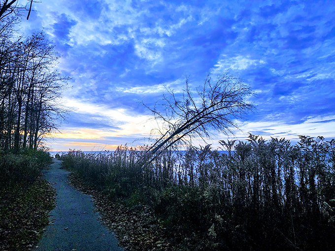 Dawn breaks through autumn trees, painting the trail in ethereal blue light. These paths promise adventure with every bend.