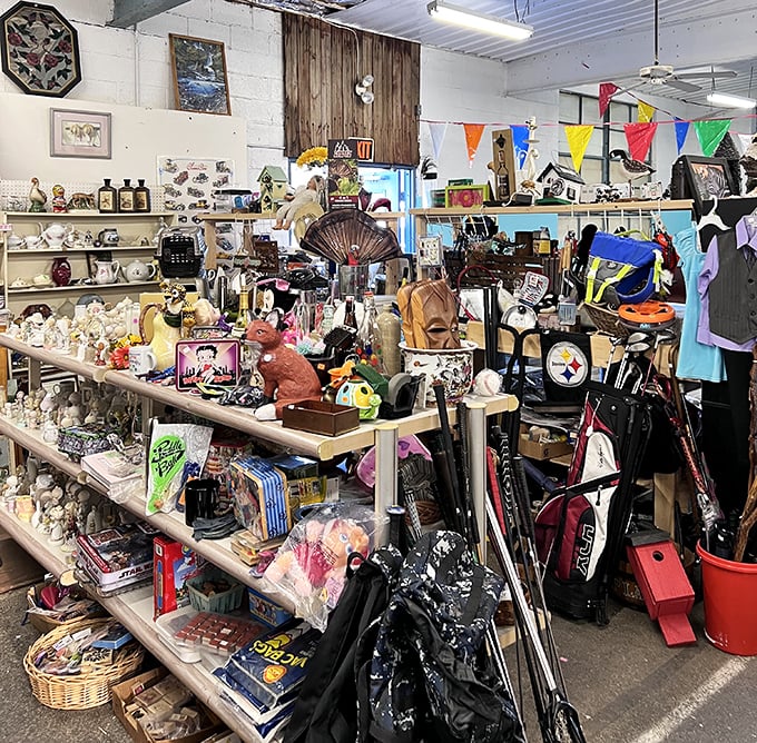 Organized chaos at its finest – where one person's "what is that thing?" is another's "I've been looking for this my whole life!"