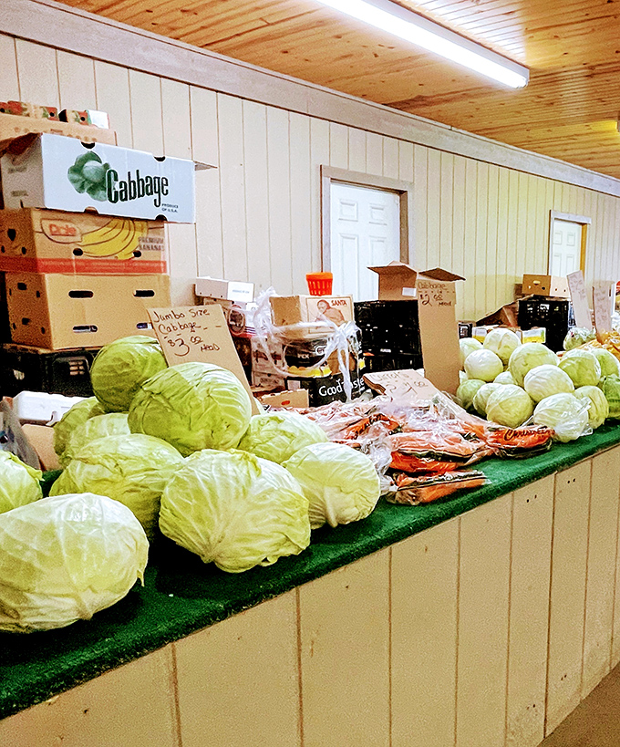 Cabbage heads bigger than your ambitions on Monday morning. Farm-fresh produce that makes grocery store offerings look like sad imposters.