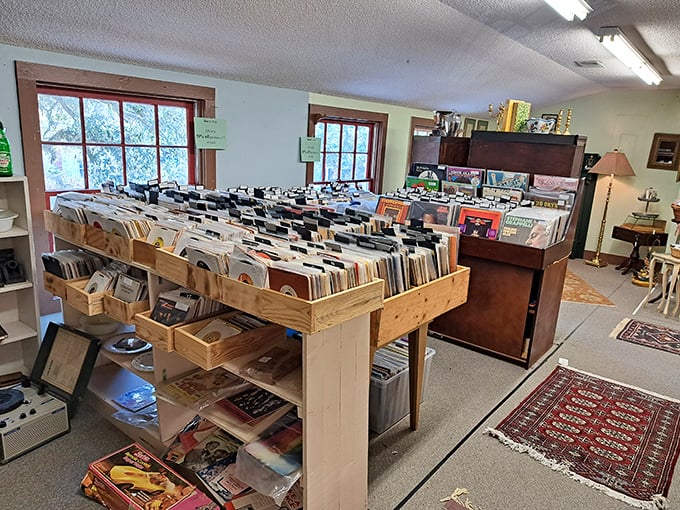 Vinyl heaven for music lovers – where forgotten albums and hidden gems sit side by side, each sleeve a time capsule of another era.