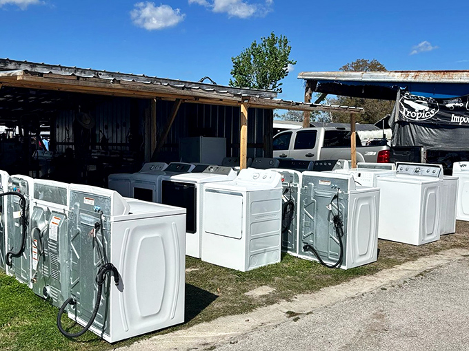 Appliance shopping with a side of sunshine—these washing machines stand at attention like white goods soldiers awaiting their marching orders to new homes.