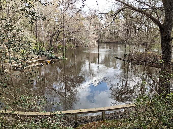Winter reveals a different side of Madison Blue, with bare branches creating artistic reflections on the glassy surface.