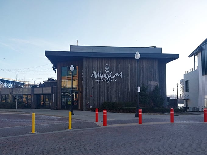 Alley Cat's dramatic wooden exterior brings rustic-chic vibes to Cleveland's waterfront – oysters with architectural attitude!