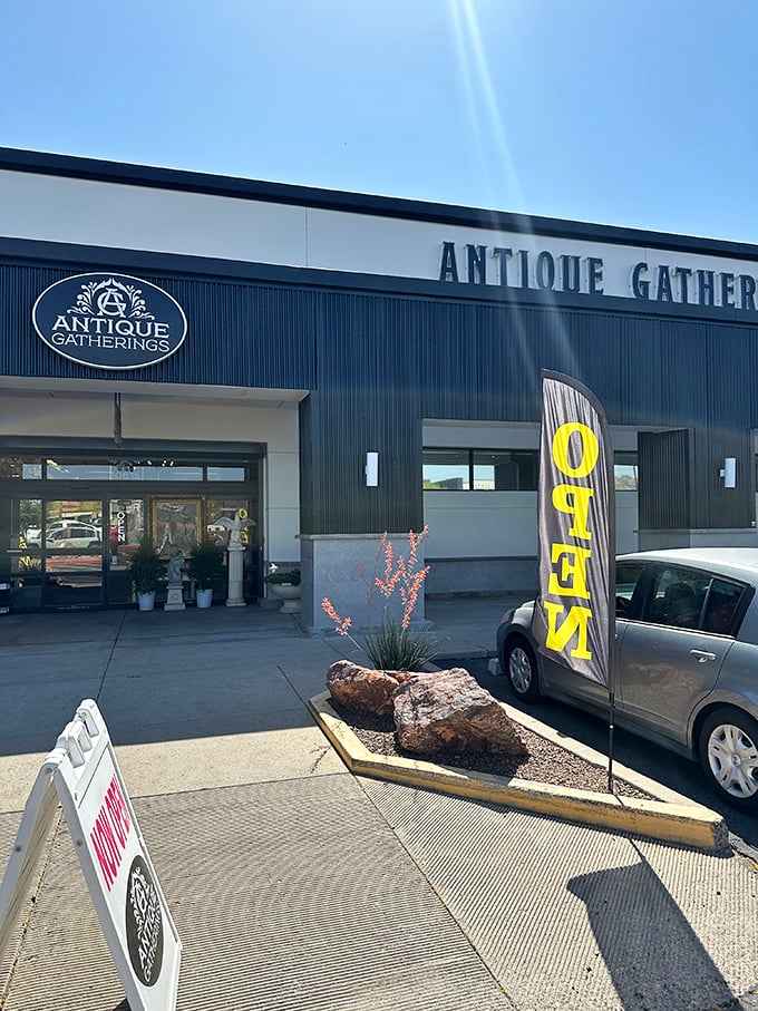 Sleek and chic! Antique Gatherings proves that vintage hunting can be as sophisticated as a night at the gallery.