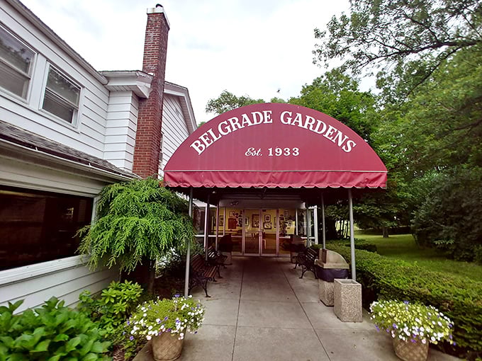 Belgrade Gardens' classic elegance hints at the refined comfort food experience waiting inside those doors. 
