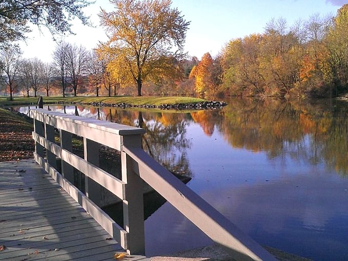 In Berwick, fall brings a quiet kind of beauty — where still waters and golden leaves offer a break from the modern rush.
