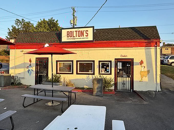 Bolton's bright red trim is like a warning sign: "Caution: Flavor Explosion Ahead!" Nashville hot chicken that means serious business.