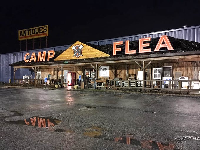 "Camp Flea" - now that's a name that promises adventure and maybe a few tall tales too.
