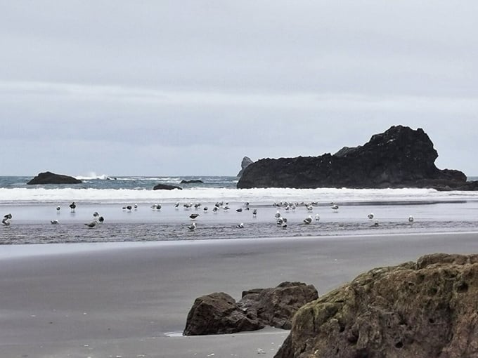 Hidden Beach lives up to its name—a quiet stretch of shore framed by ancient sea stacks and endless sky.