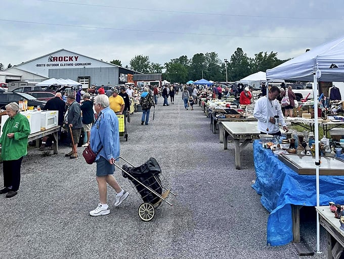 Leighty's Market spreads across the countryside like a festival where every table holds a potential conversation starter.