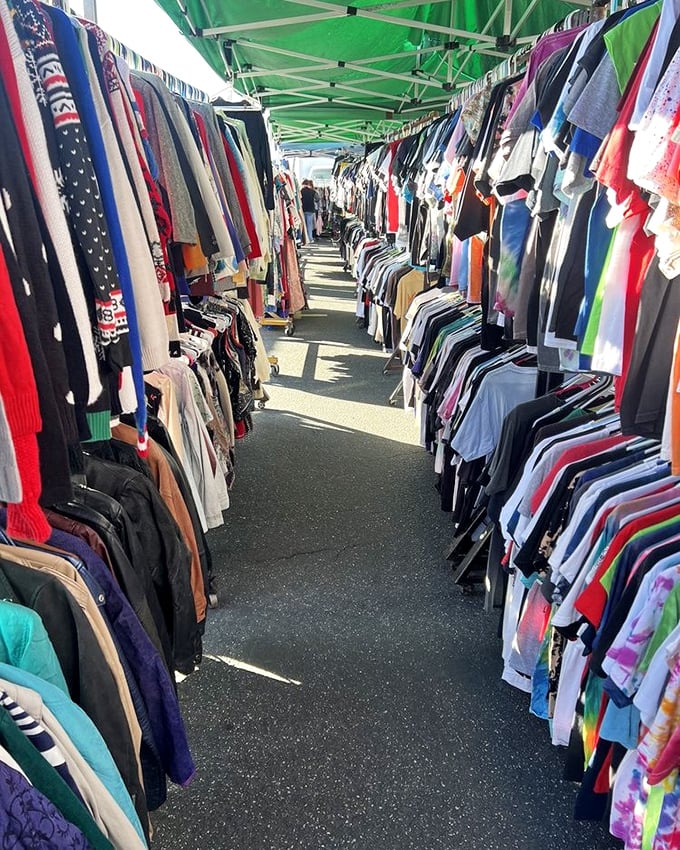 Vintage clothing canyon! Long Beach's fashion gorge offers a rainbow river of fabrics where style archaeologists dig for denim dinosaurs and polyester pterodactyls.