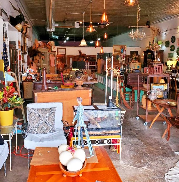 Vintage furniture creates cozy corners where every piece has lived interesting lives before yours.