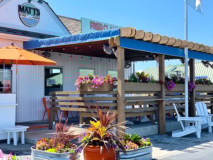 Matt's outdoor setup screams "beach party where everyone's invited and nobody judges your bib." 